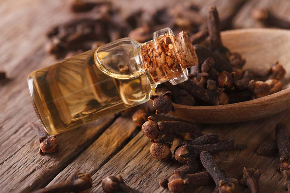 9 Benefits of Clove Oil (Infographic)