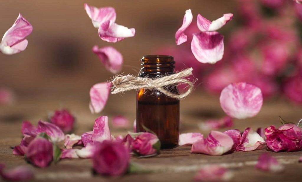 7 Benefits of Rose Oil (Infographic)