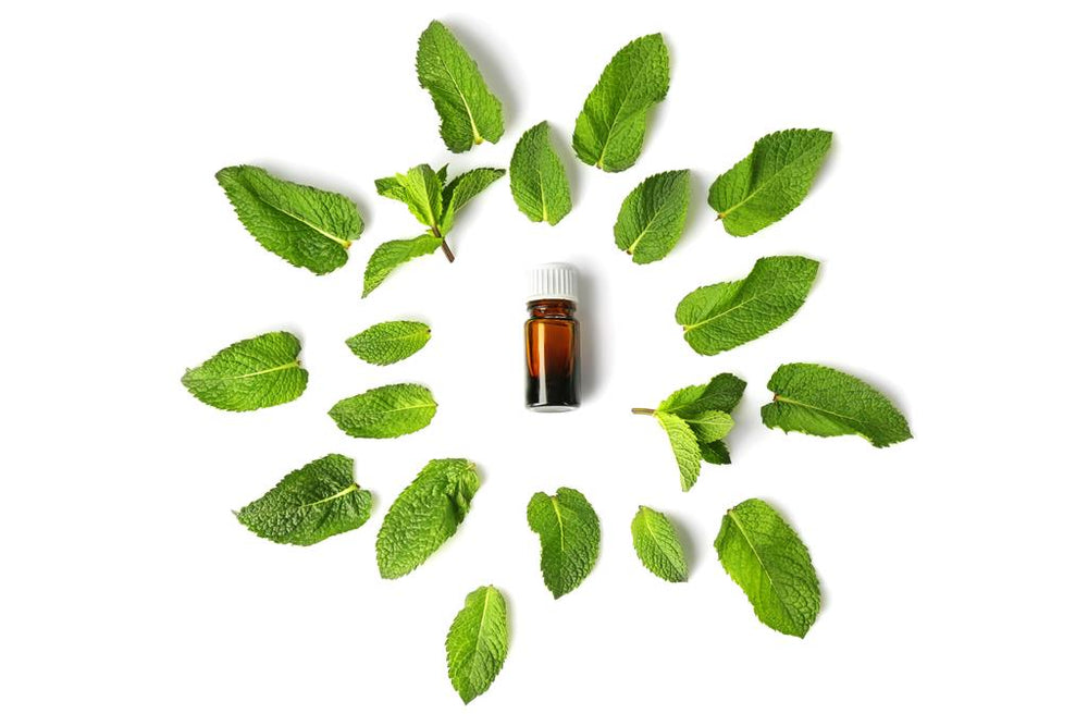 Side Effects & Precautions Associated With Using Peppermint Oil