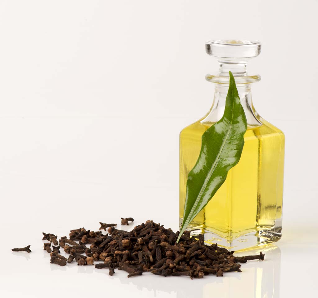 20 Surprising Benefits & Uses of Clove Oil (Laung ka Tel)