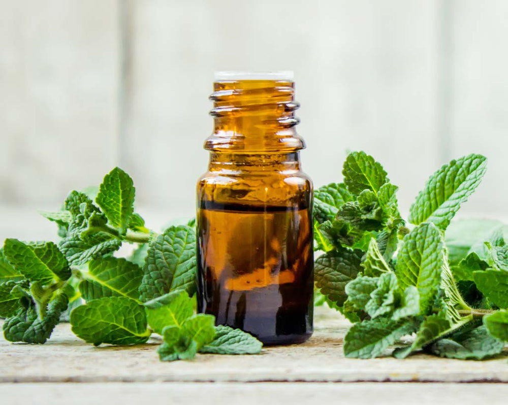 7 Benefits of Peppermint Oil (Infographic)