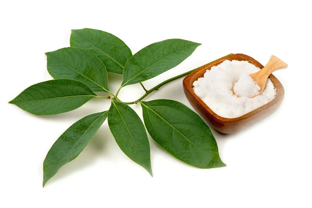 INGREDIENTS IN DEPTH - CAMPHOR