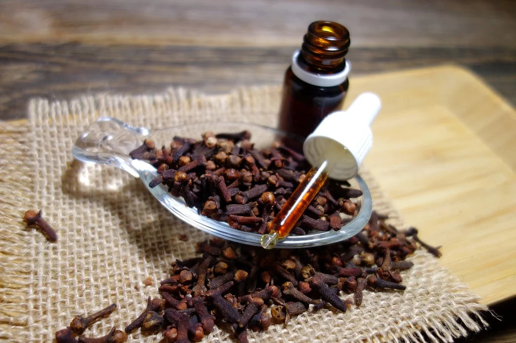 INGREDIENTS IN DEPTH - CLOVE OIL