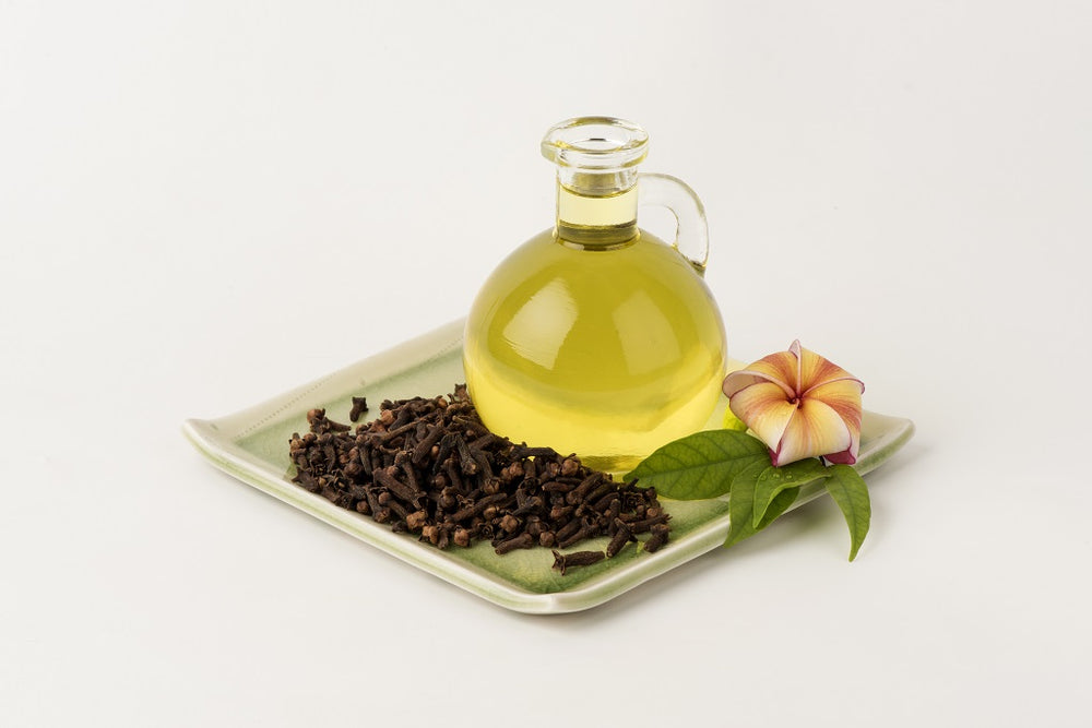 How To Make Clove Oil At Home & Brighten Your Skin | Anveya