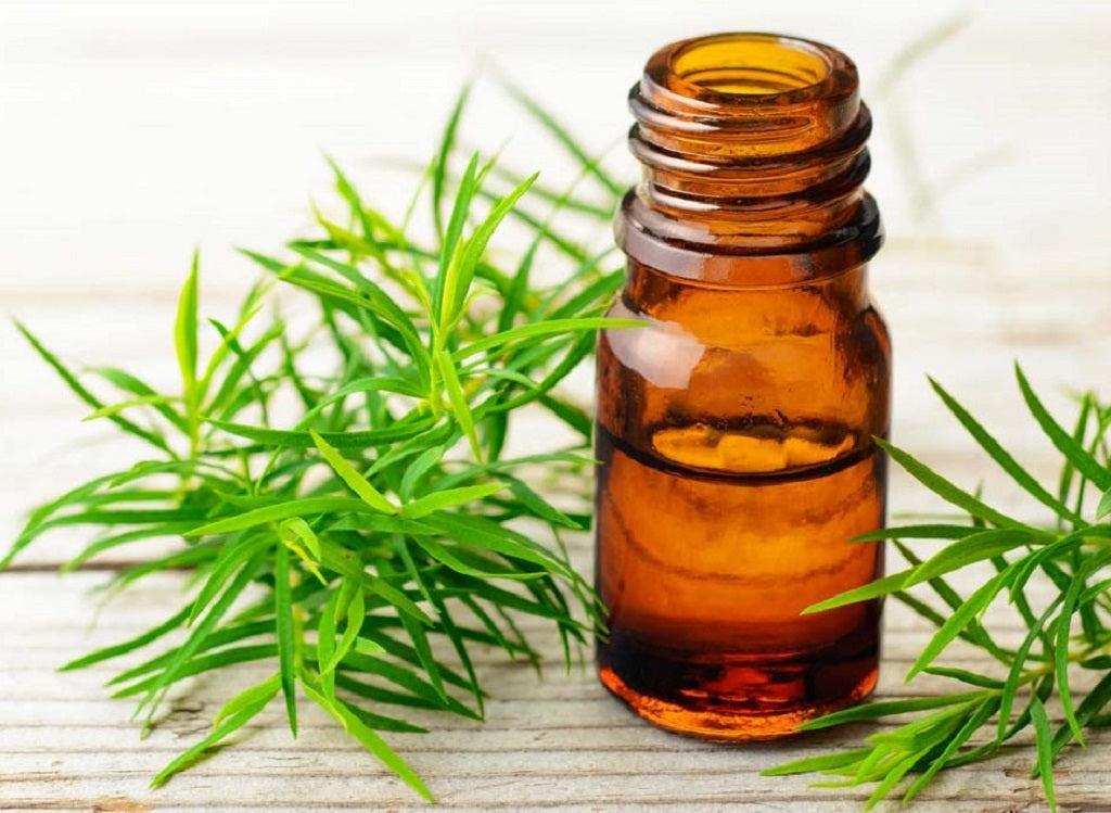 8 Benefits of Tea Tree Oil (Infographic)